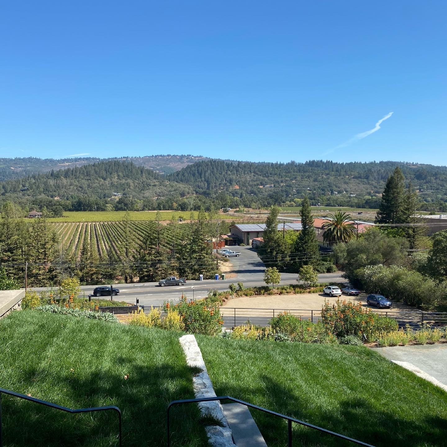 Faust Haus - spectacular Napa wines and a new ritual that defies ...